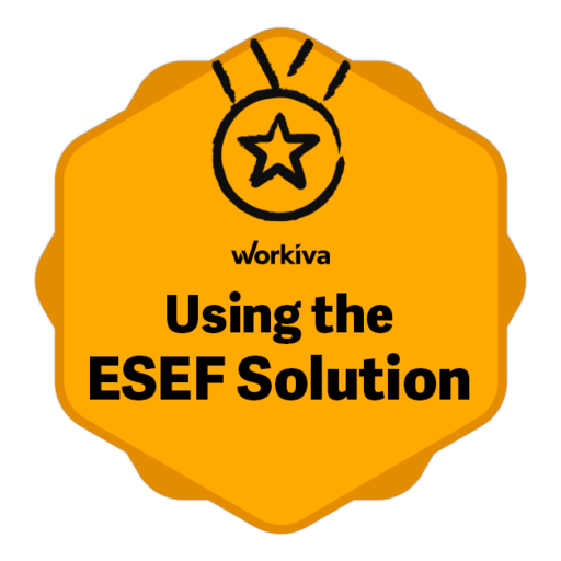 Using the ESEF Solution - Credly