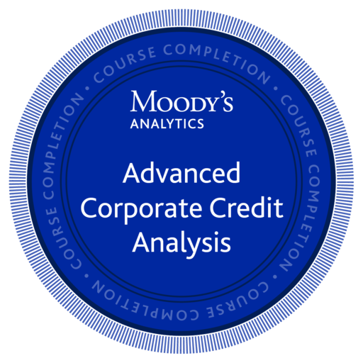 Advanced Corporate Credit Analysis - Credly