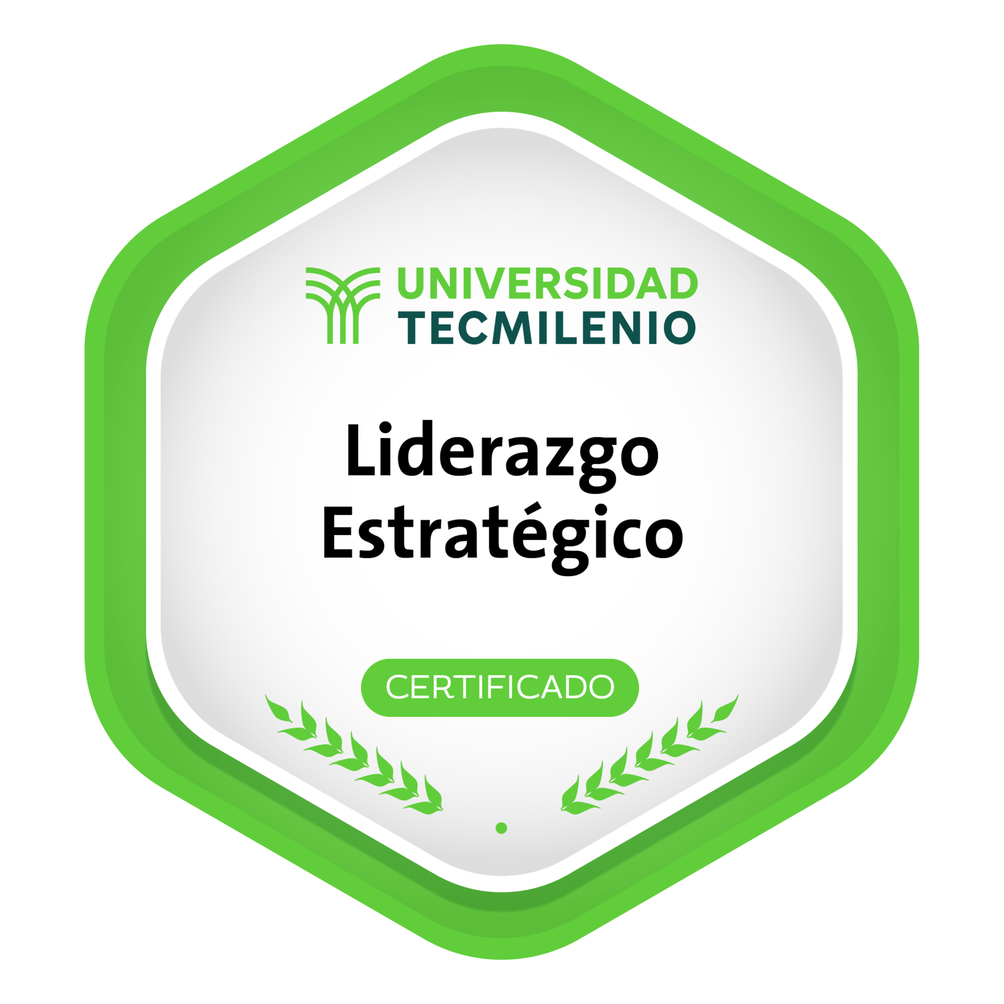 Liderazgo Estratégico - Credly