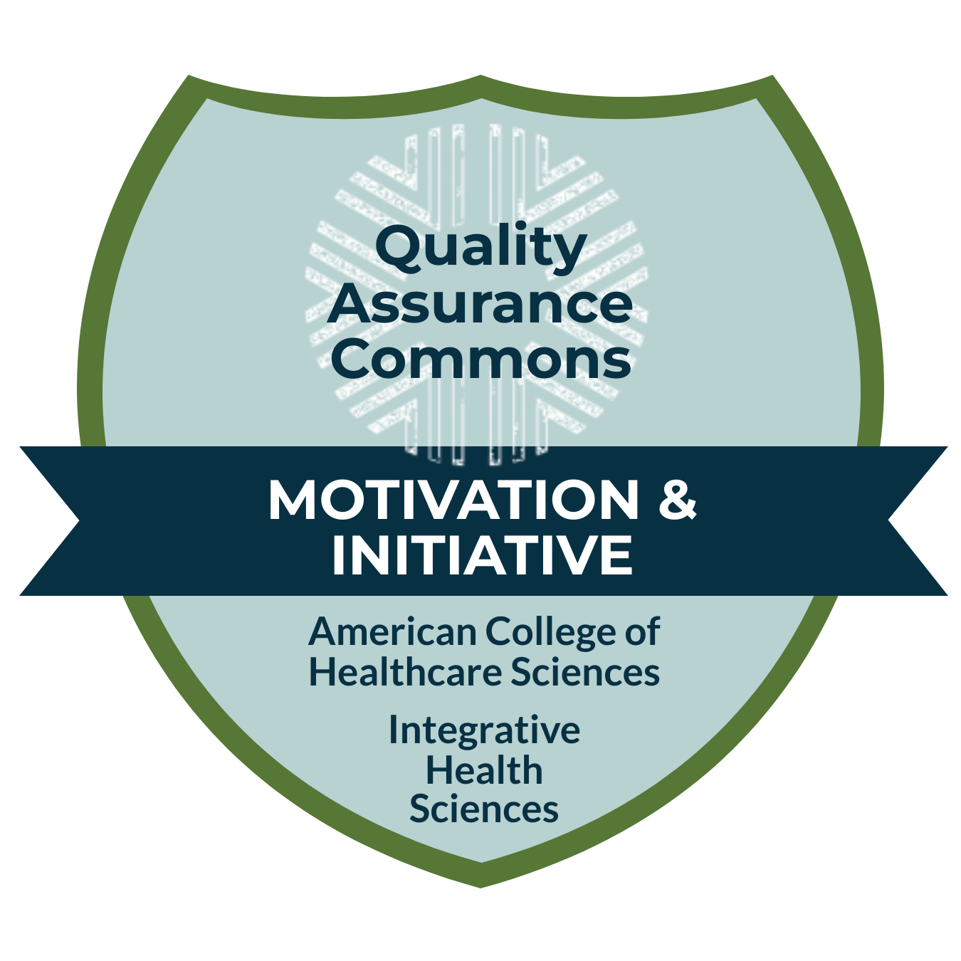 Digital Literacy, ACHS - Credly