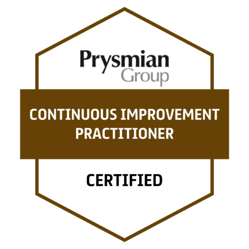 Continuous Improvement Practitioner - Credly