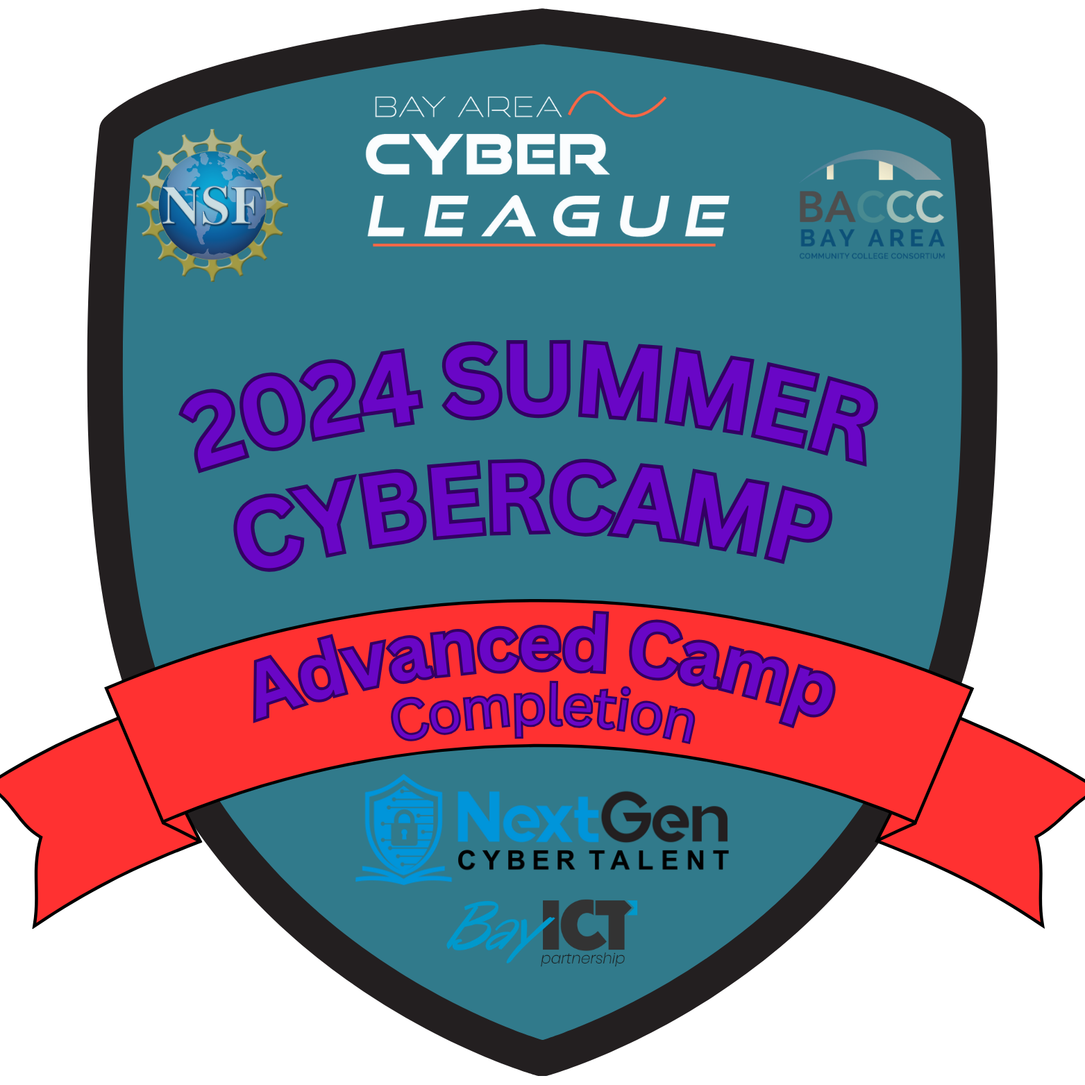 2024 CyberCamp Advanced Camp Completion - Credly