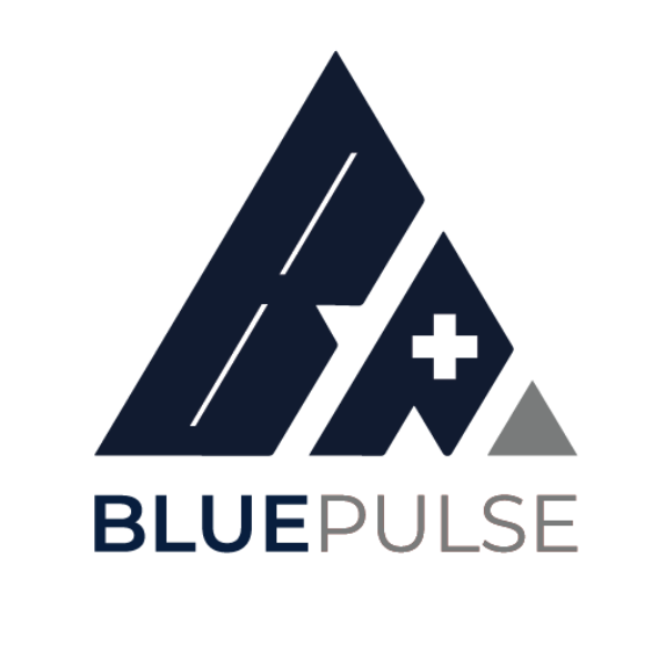 Blue Pulse Academy - Credly