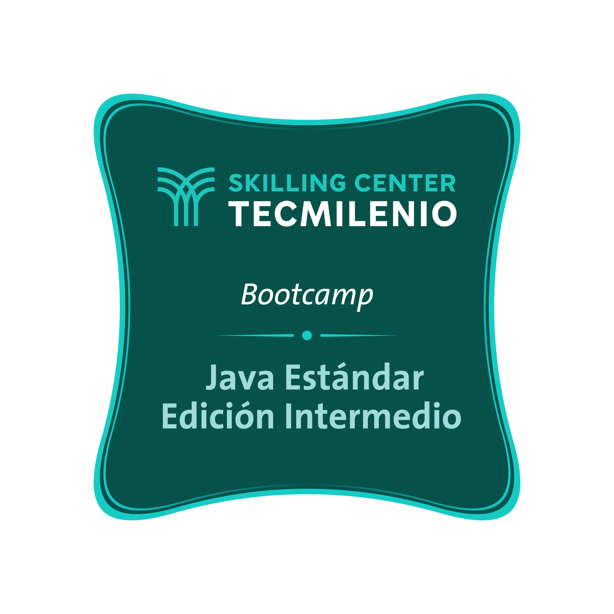 Java Estándar Edición Intermedio - Credly