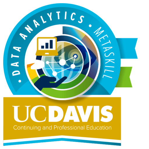Data Analytics Meta Skills Badge Credly
