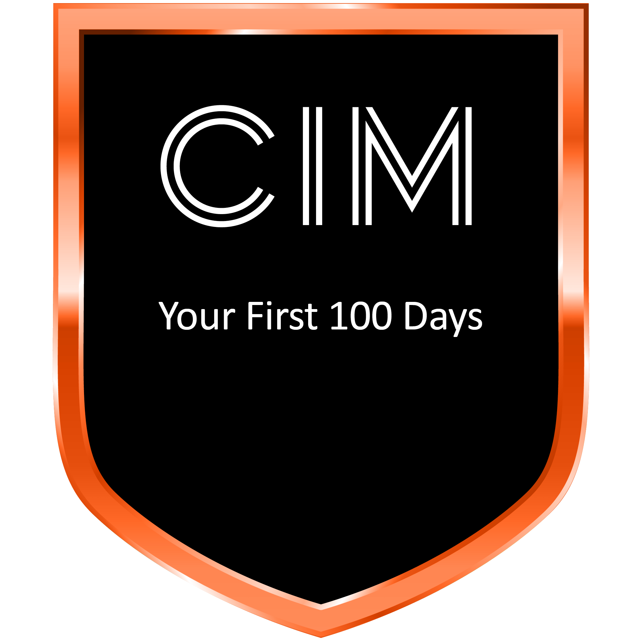 Your First 100 Days Credly