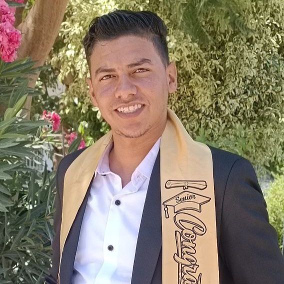 Data Analysis & Visualization Foundations Specialization (V2) - Credly