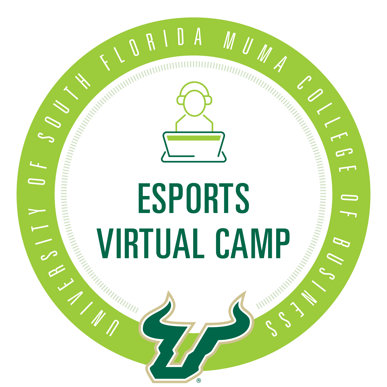 USF Esports Virtual Camp - Credly