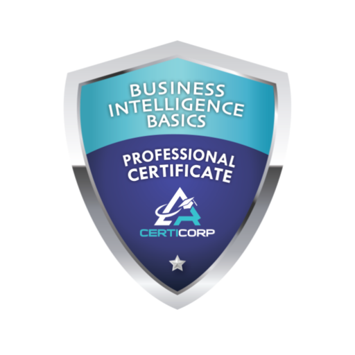 Business Intelligence Basics Professional Certification - Credly