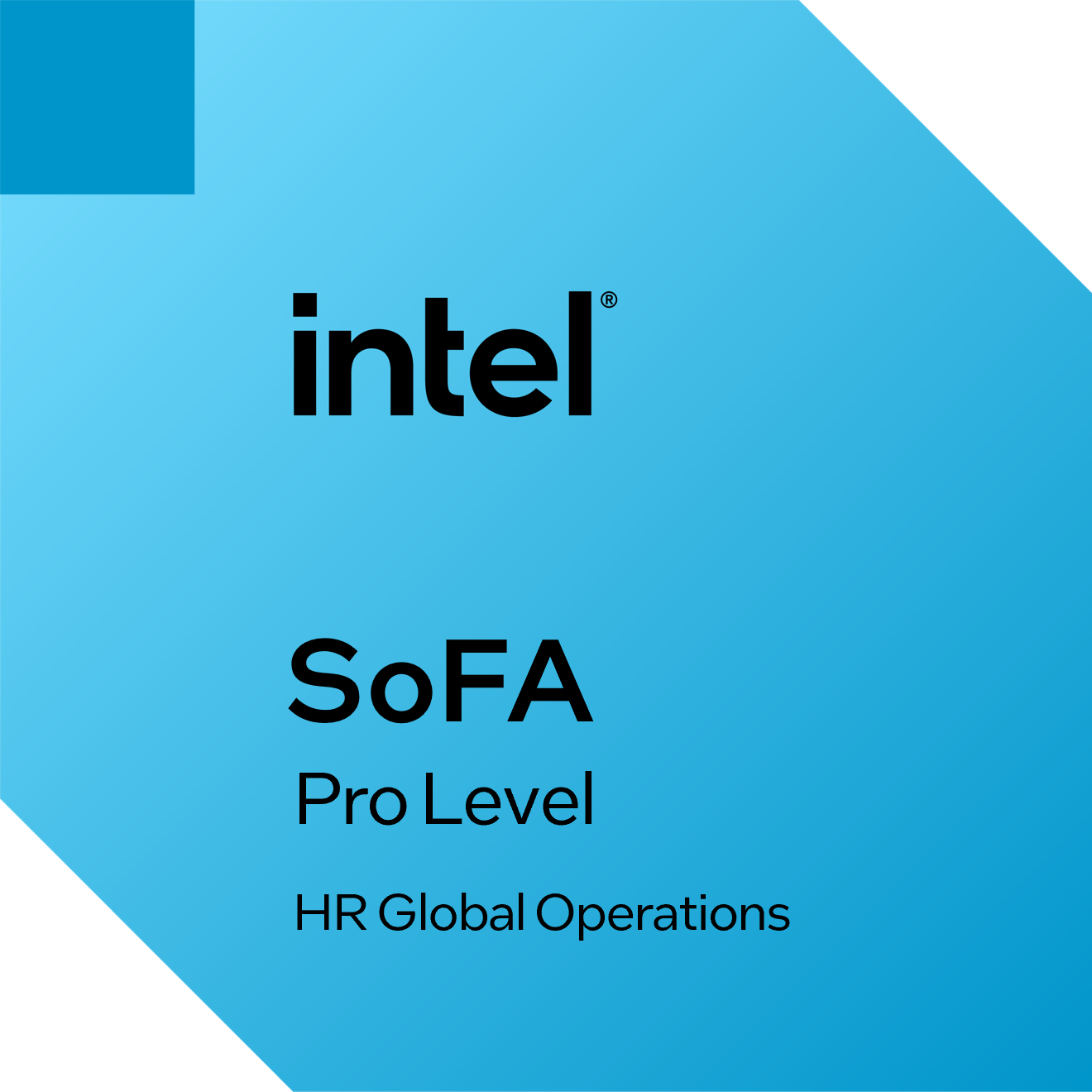 Skills of the Future Academy Pro - Credly