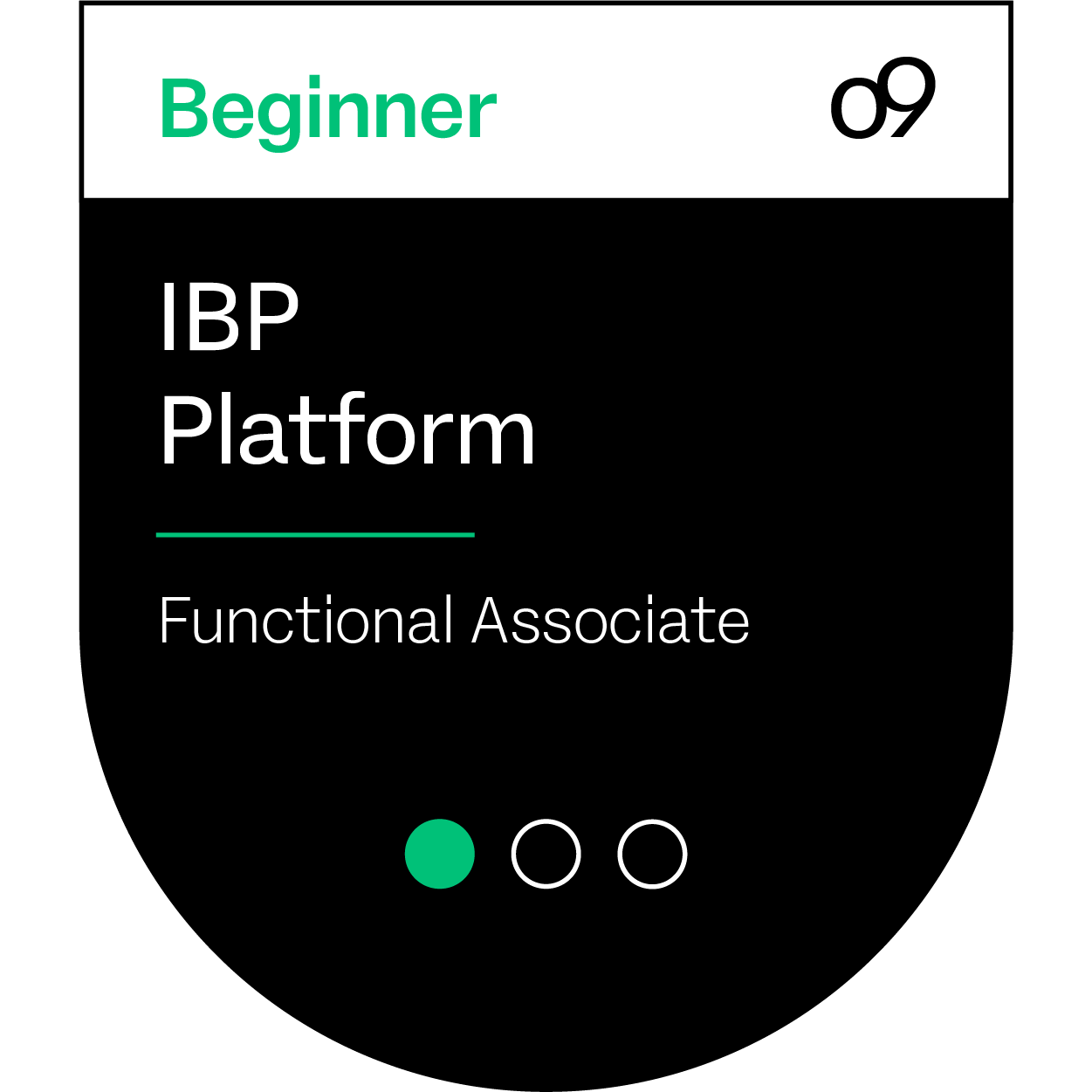 o9 IBP Platform - Functional Associate - Credly