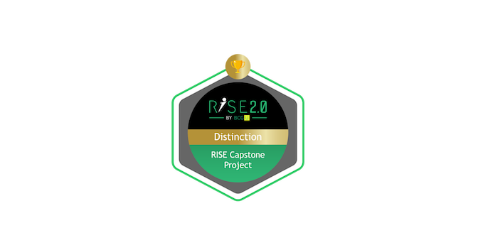 BCG RISE Capstone Distinction (Digital Transformation and Change ...