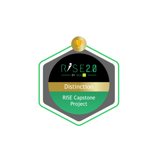 BCG RISE Capstone Distinction (Digital Transformation and Change Management) - Credly