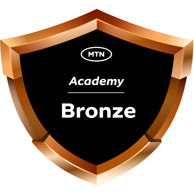 MTN Academy: Bronze - Credly