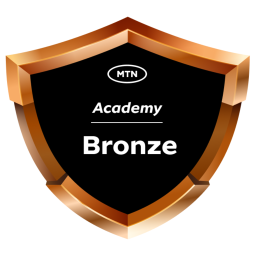 MTN Academy: Bronze - Credly