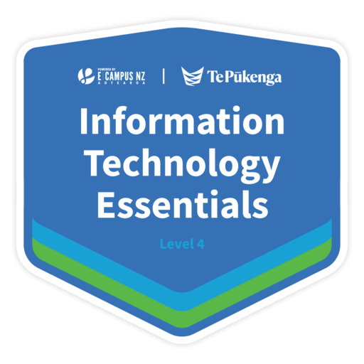 New Zealand Certificate in Information Technology Essentials (Level 4) - Credly