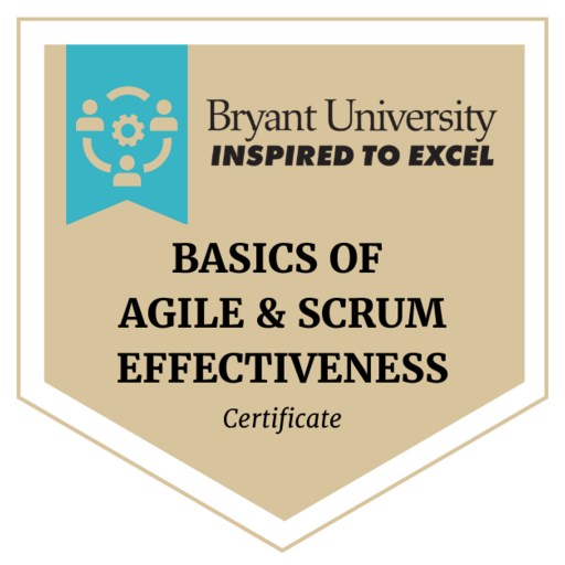Basics of Agile & Scrum Effectiveness - Credly