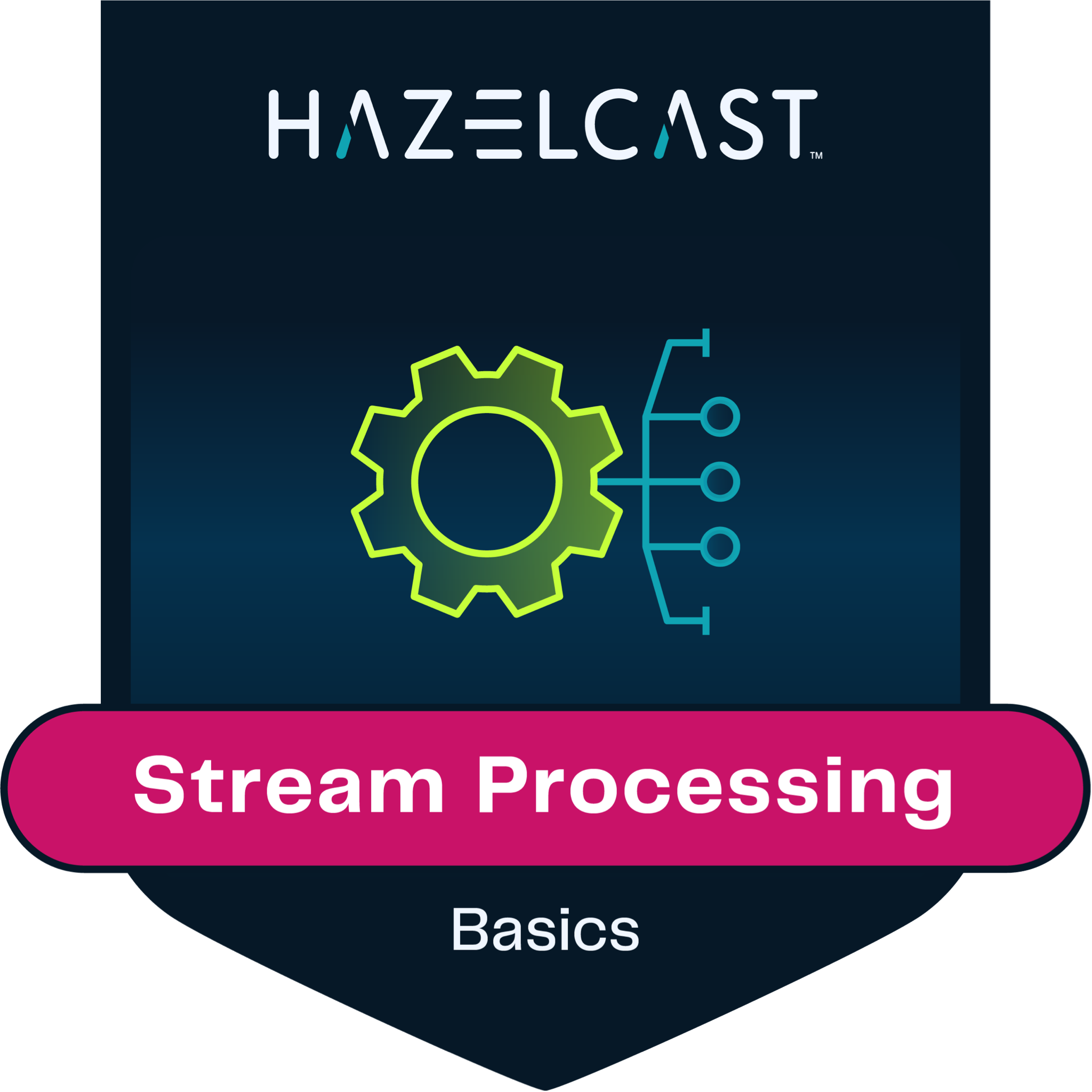 Stream Processing Basics - Credly