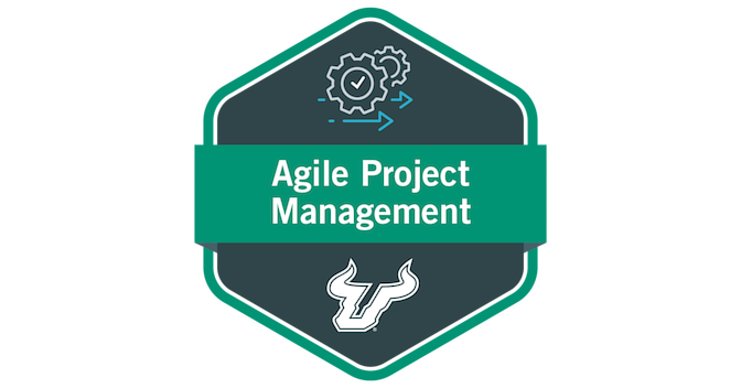 Agile Project Management Stack-A-Bull - Credly