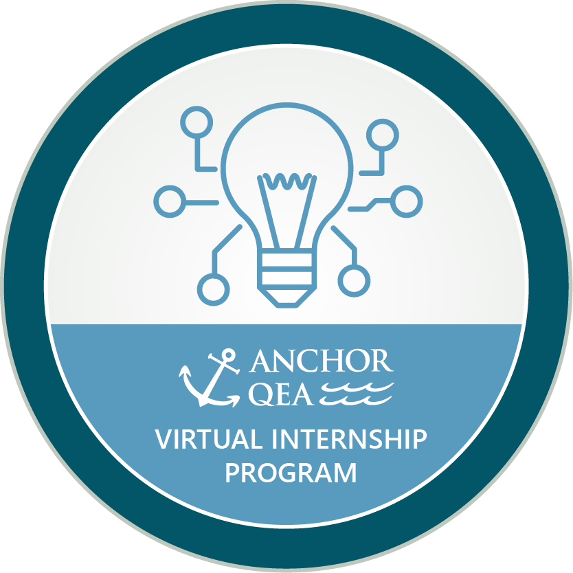 Virtual Internship Program - Credly