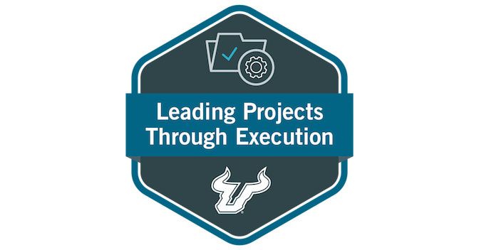 Leading Projects through Execution Stack-A-Bull - Credly