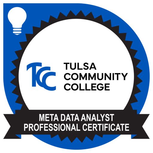 Meta Data Analyst Professional Certificate - Credly