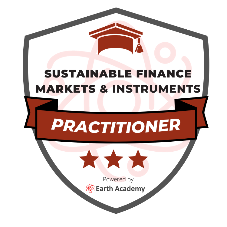 Sustainable Finance Markets & Instruments Practitioner - Credly