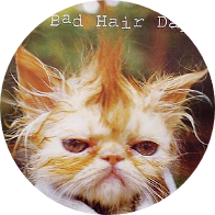 Oracle Certified Java Programmer, Bronze SE 7/8 - JPN - Credly