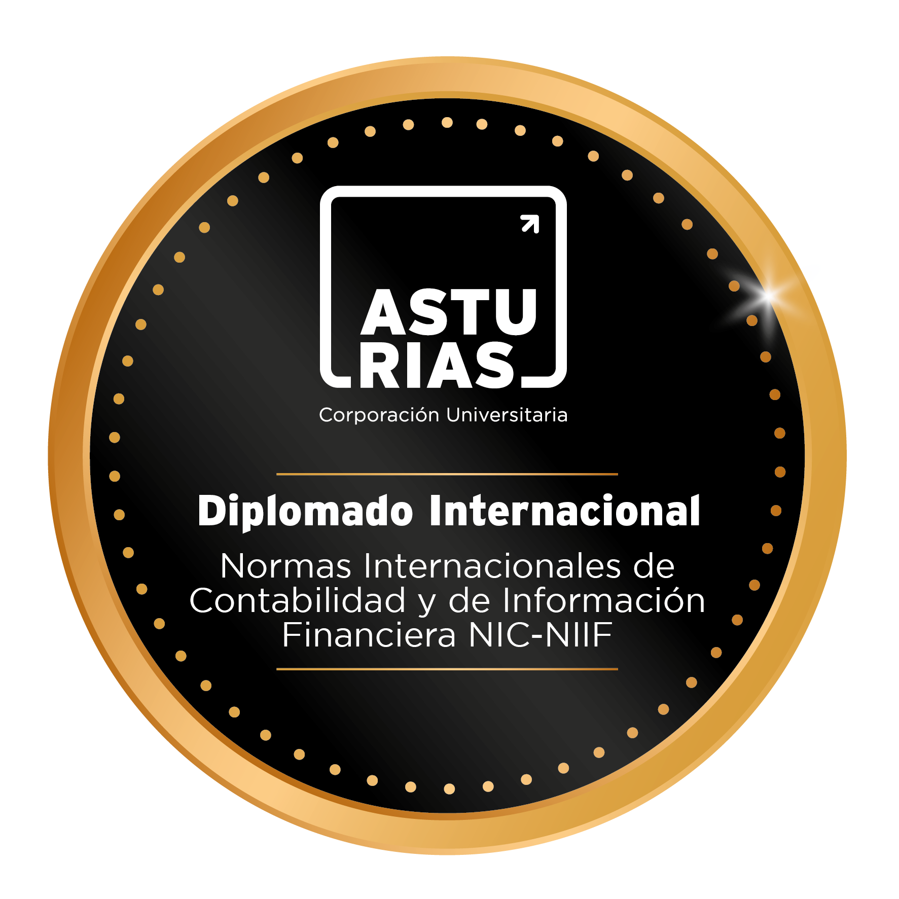 Diplomado en Normas Internacionales de Contabilidad y de Información ...