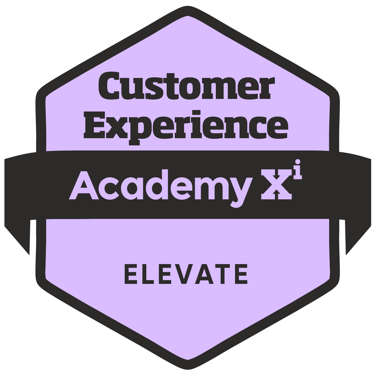 Customer Experience Elevate - Credly
