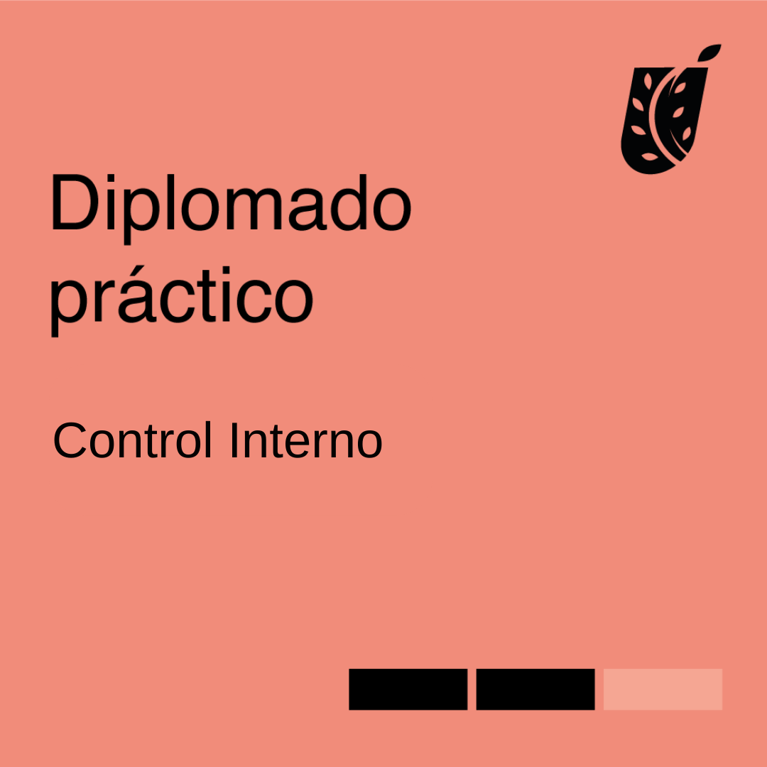 Diplomado práctico- Control Interno - Credly
