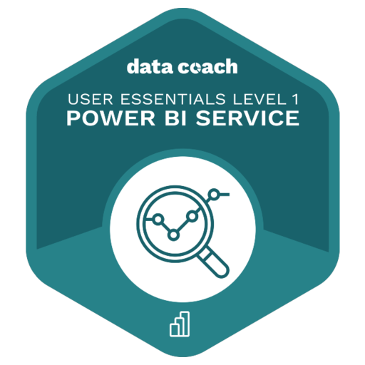 Power BI User Essentials Level 1 - Credly