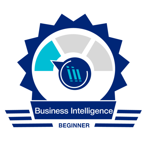 Business Intelligence - Beginner - Credly