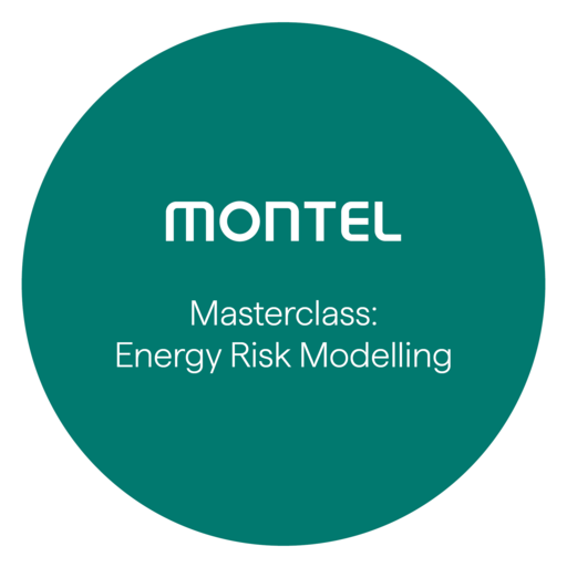 Energy Risk Modelling - Credly