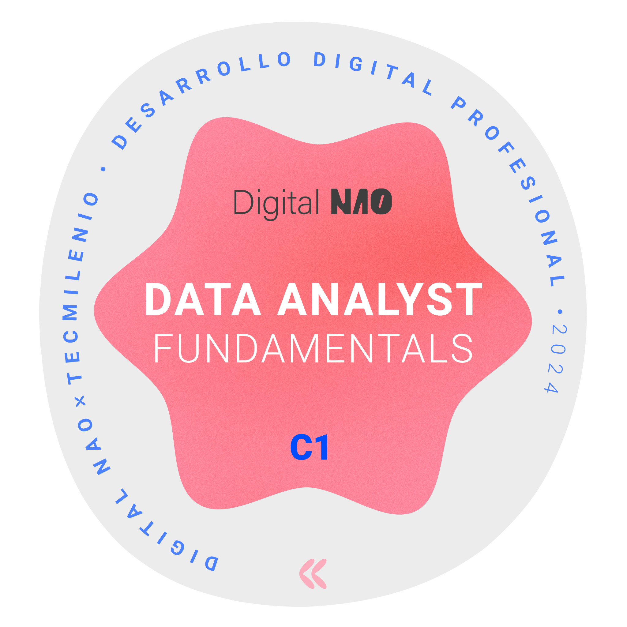 Data Analyst Fundamentals - Credly