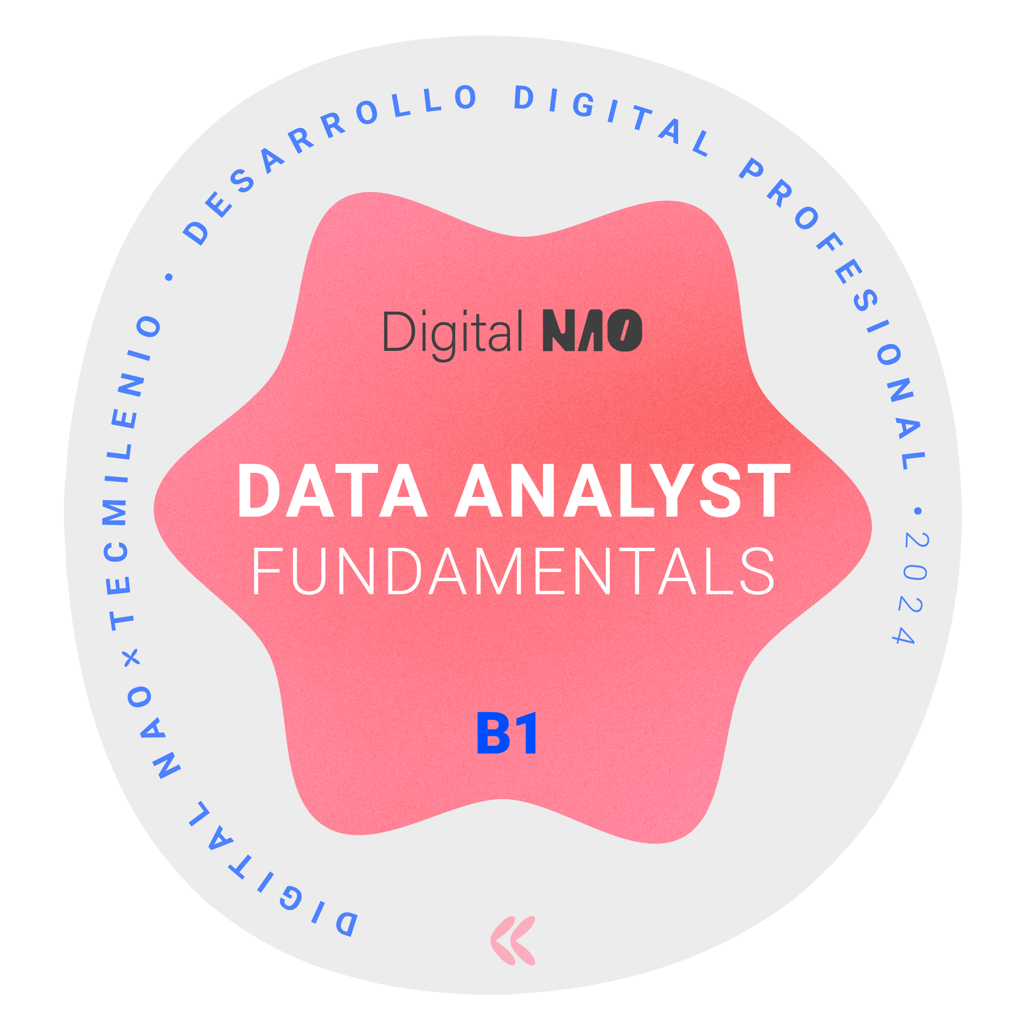 Data Analyst Fundamentals - Credly