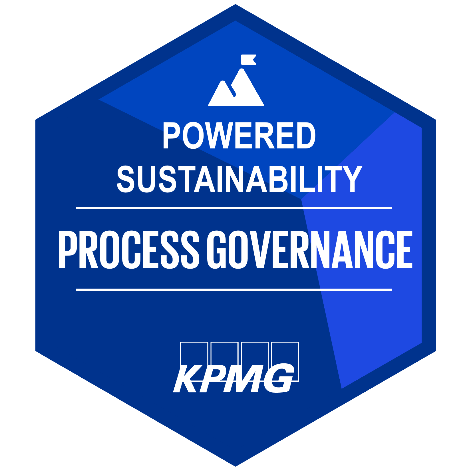 Powered Sustainability: Process Governance Fundamentals - Credly