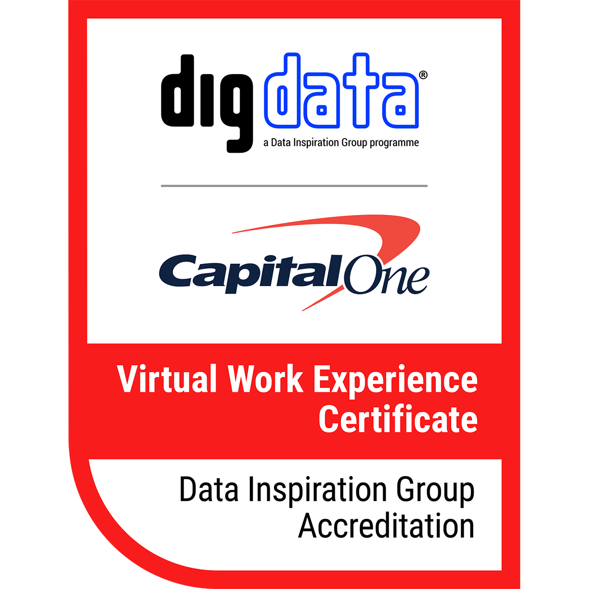 Digdata Capital One "Step up" Virtual Work Experience Digital ...