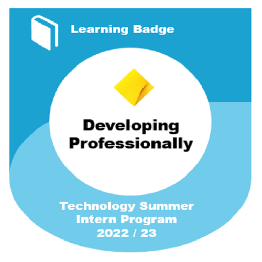 Developing Professionally Learning Pathway - Credly