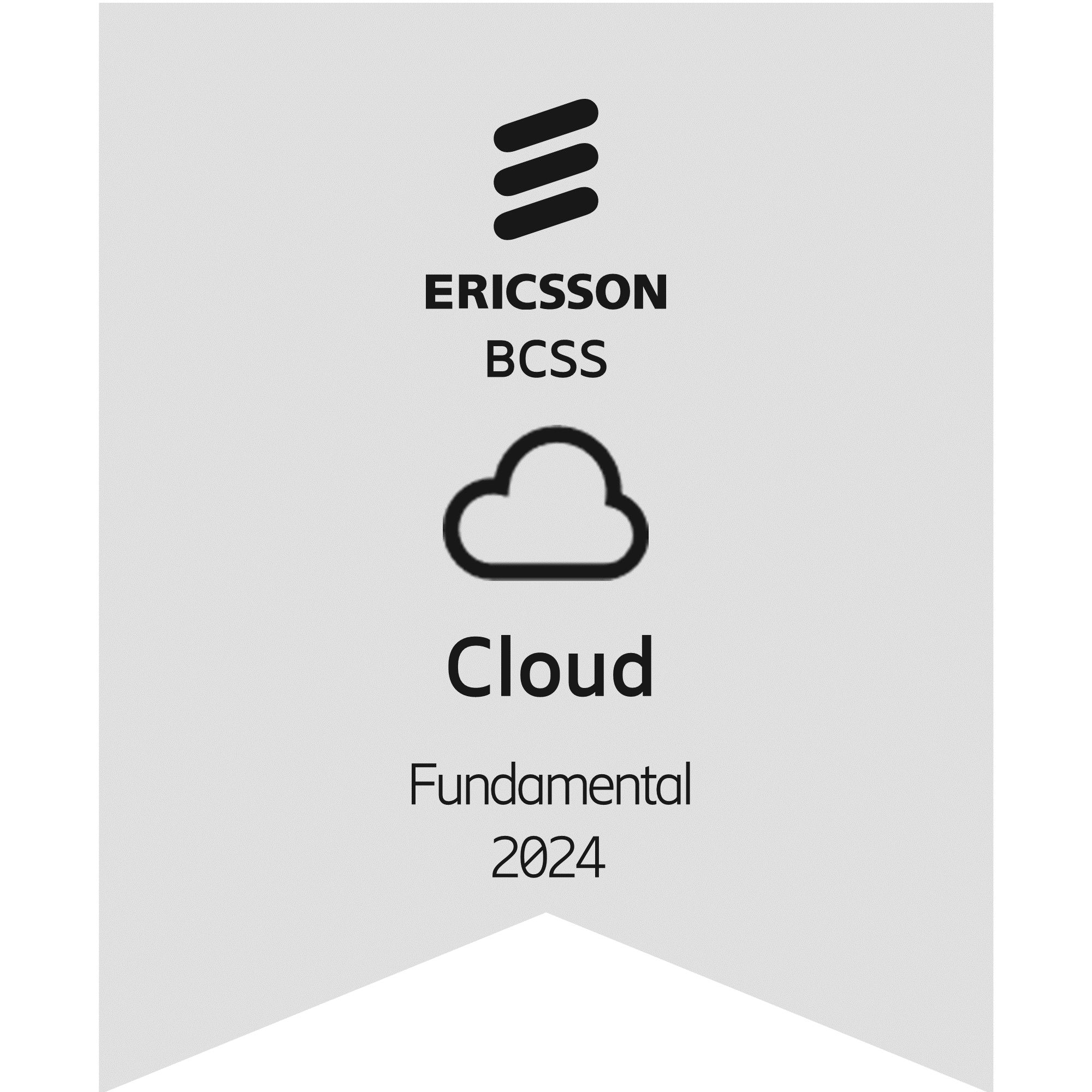 BCSS Cloud Fundamental Level 2024 Credly BCSS Cloud Fundamental Level 2024 Credly