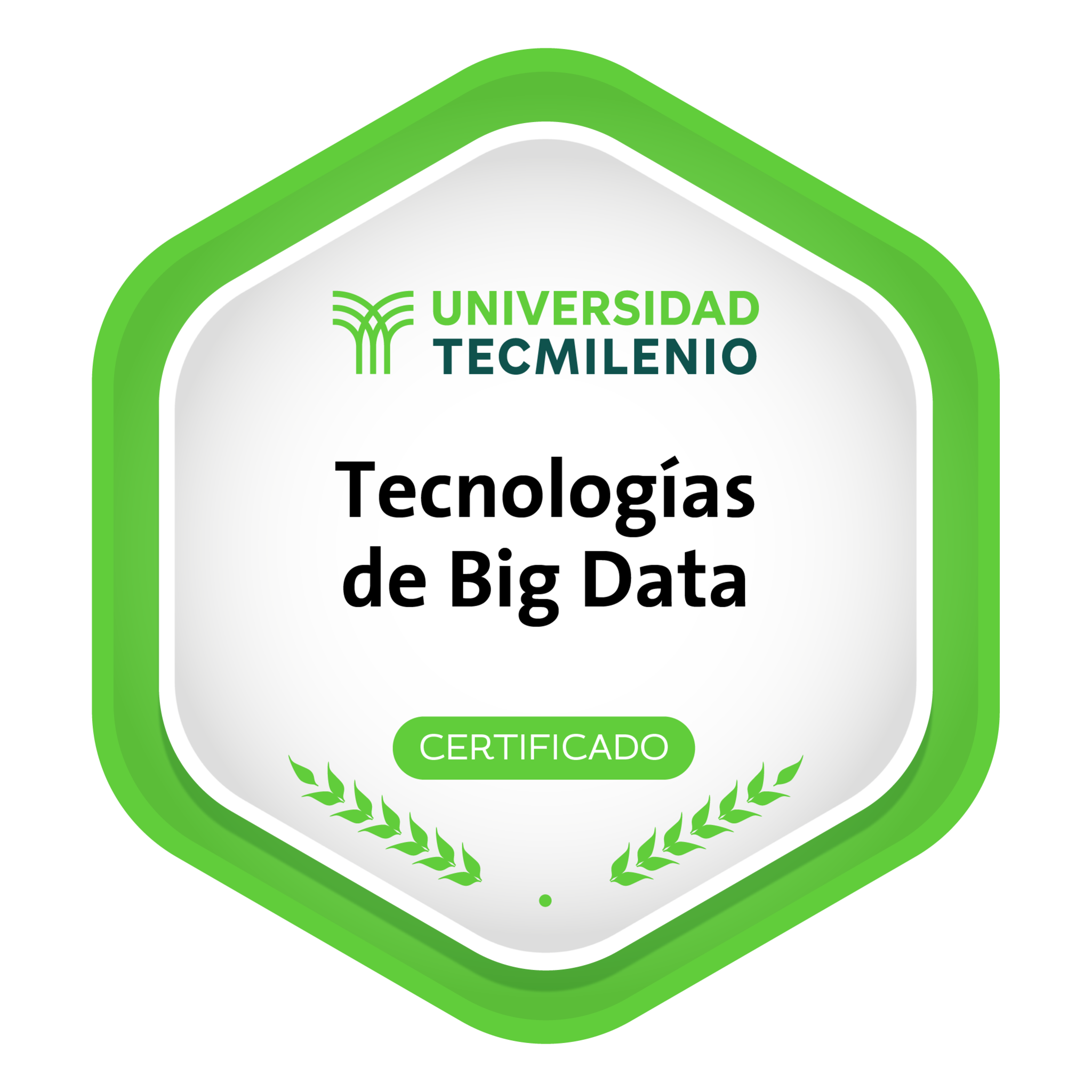 Tecnologías de Big Data - Credly