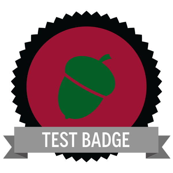 Kari Test Badge - Credly