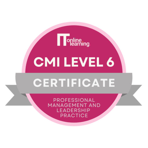 CMI Level 6 Certificate in Professional Management and Leadership - Credly