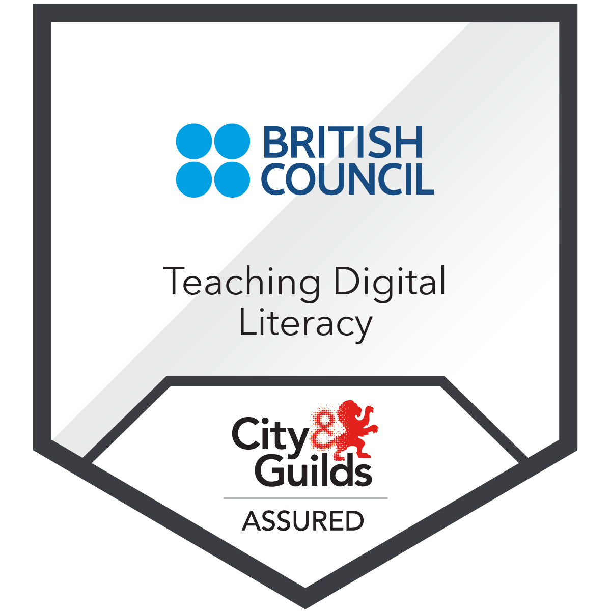 Teaching Digital Literacy Credly