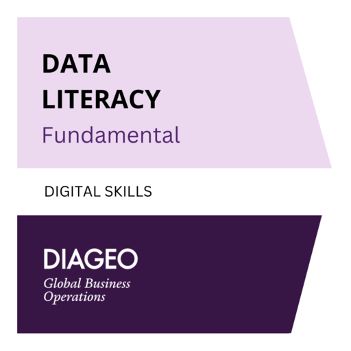 Data Literacy Fundamental - Credly