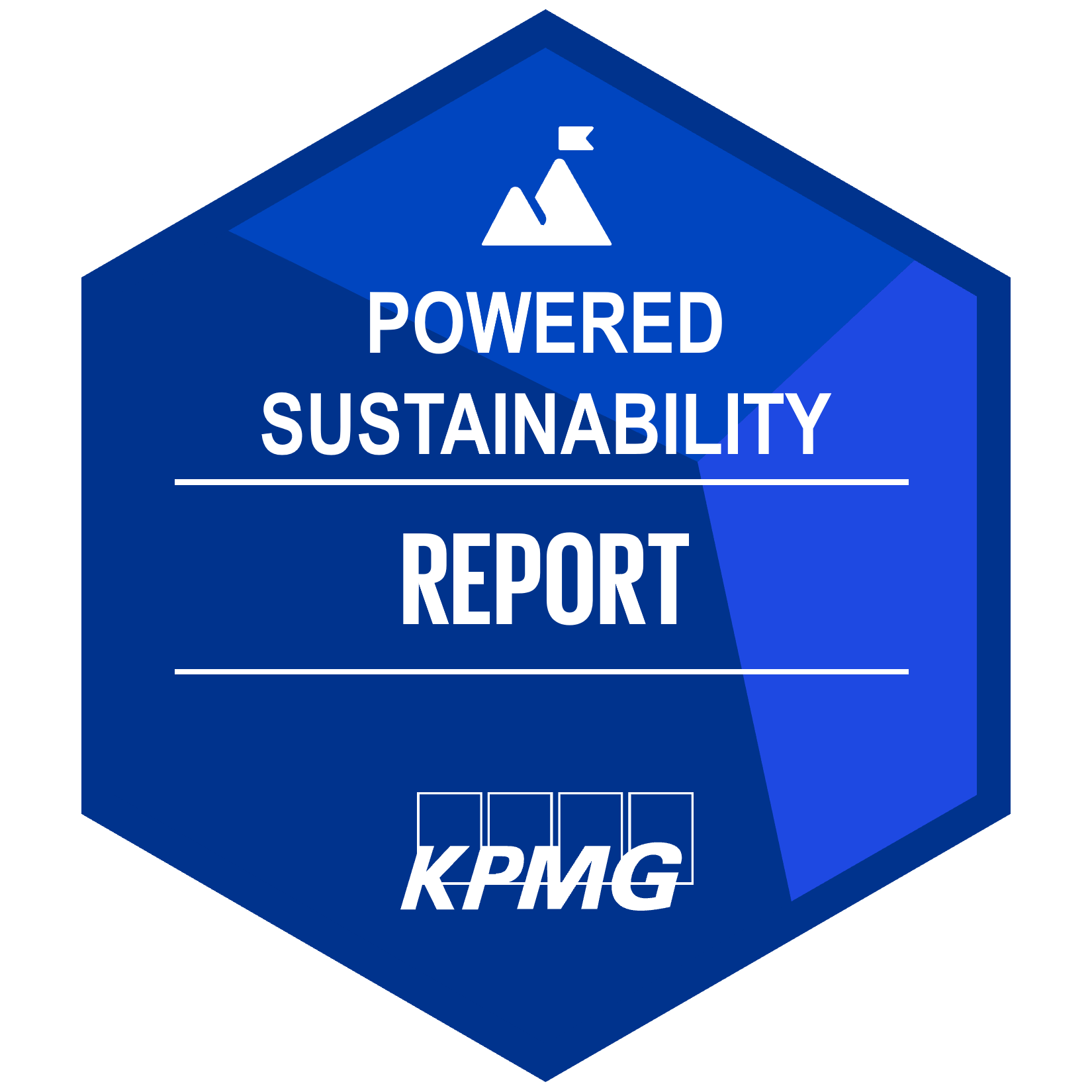 Powered Sustainability: Report Fundamentals - Credly