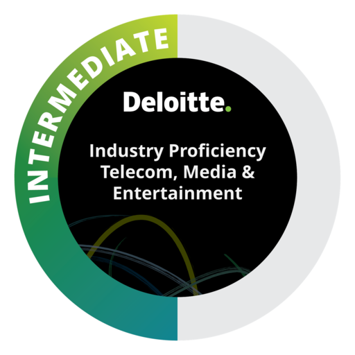 Industry Proficiency Intermediate: Telecom, Media & Entertainment - Credly