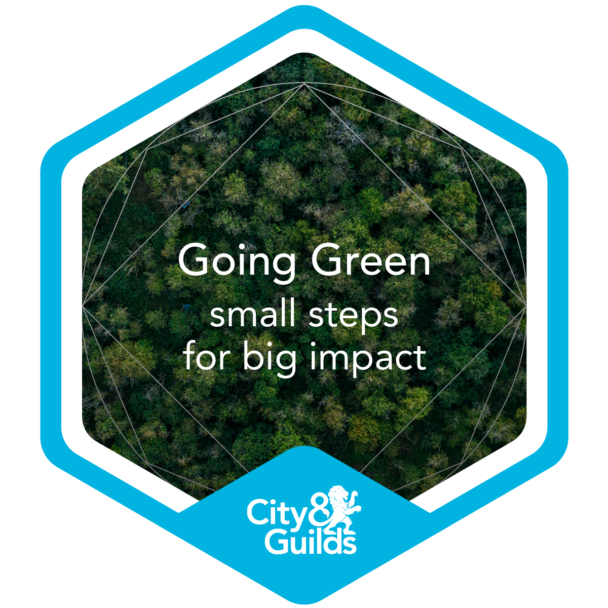 Going Green: Small Steps, Big Impact - Credly