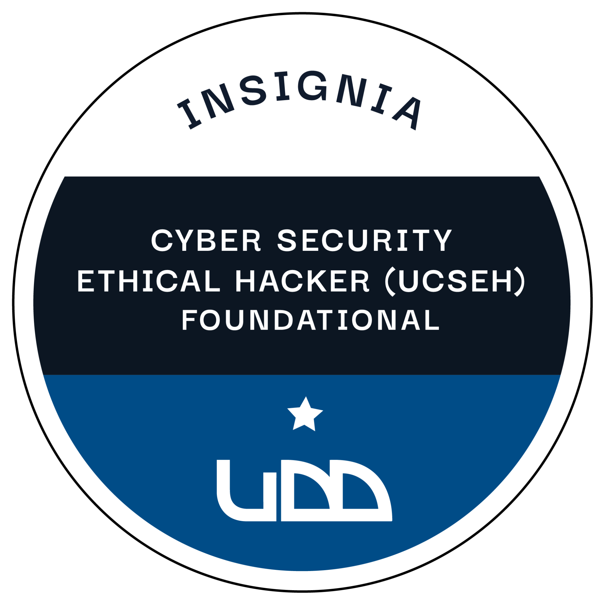 Cyber Security Ethical Hacker (UCSEH) - Credly