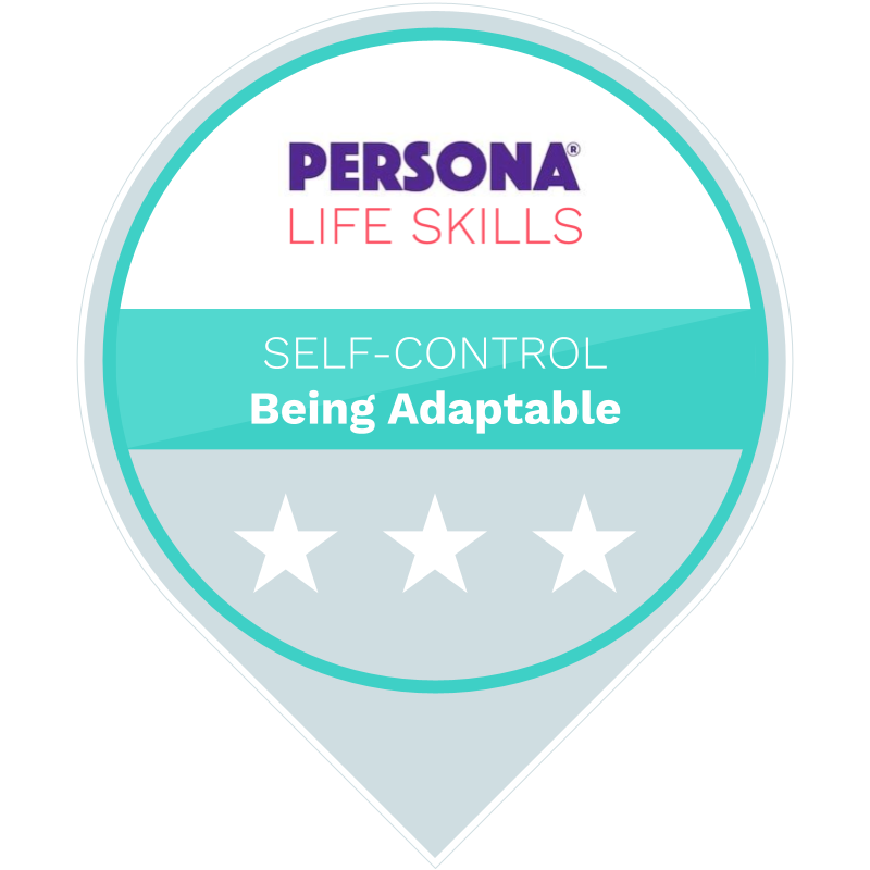 Persona Life Skills: Life Skill 20 – Being Adaptable: Challenge Level ...